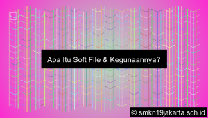 Apa Itu Soft File & Kegunaannya?