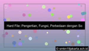 Hard File: Pengertian, Fungsi, Perbedaan dengan Soft